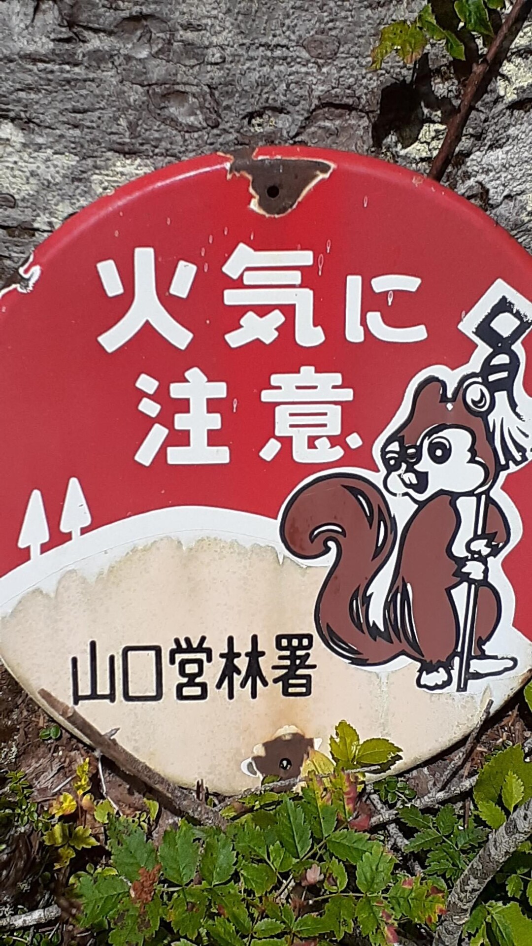 yamamiのページ | YAMAP / ヤマップ