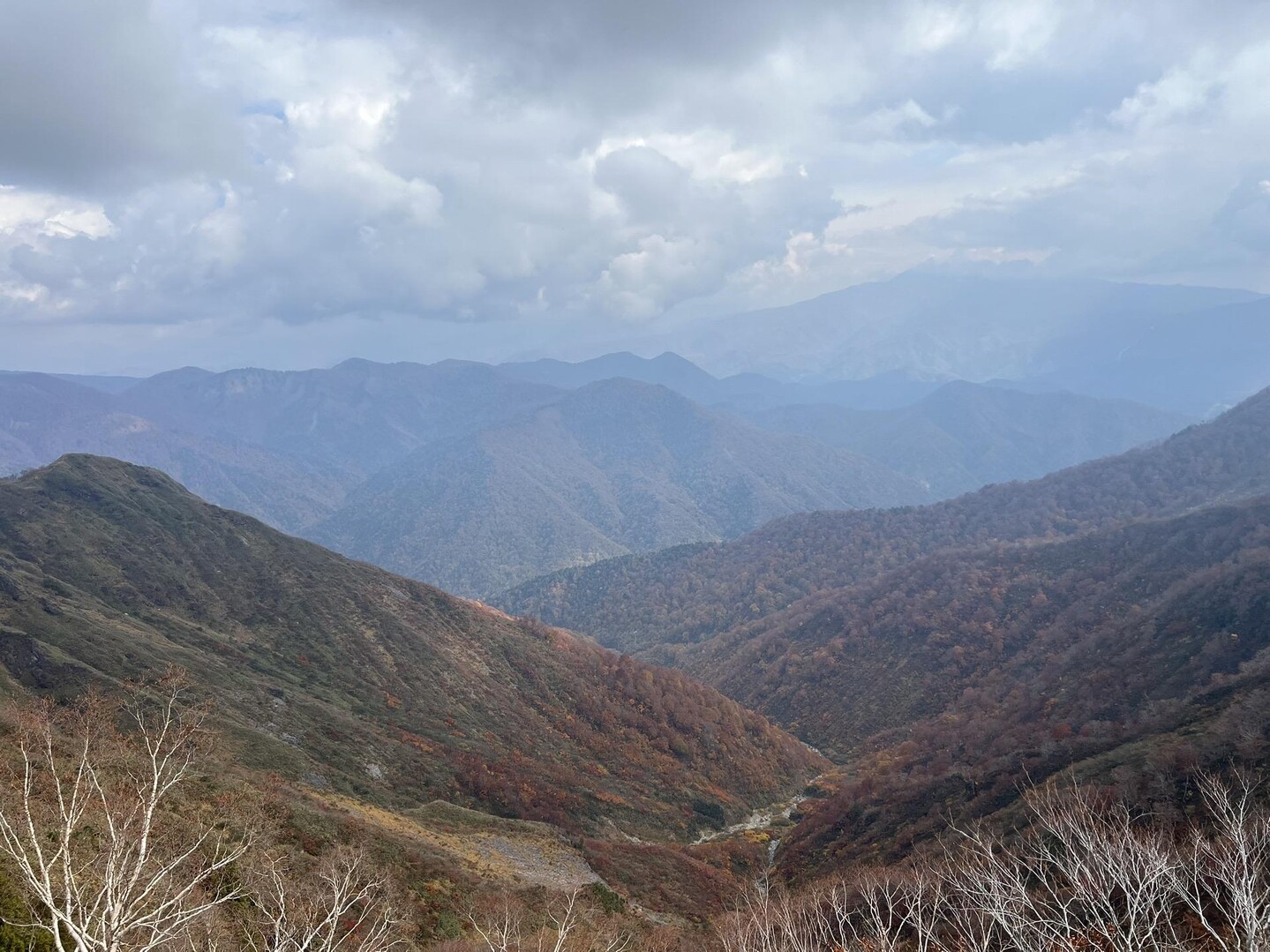 熊穴沢ノ頭・谷川岳（トマの耳）・谷川岳（オキノ耳） / hugoさんの谷川岳・七ツ小屋山・大源太山の活動日記 | YAMAP / ヤマップ