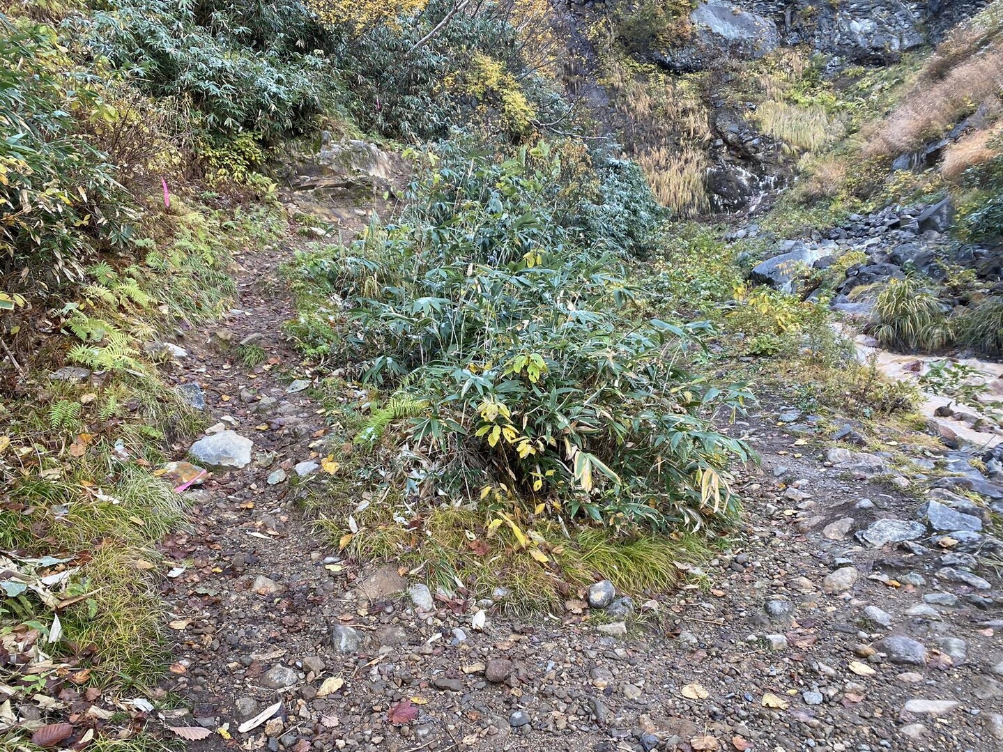 Gentil15さんの投稿したフィールドメモ | YAMAP / ヤマップ