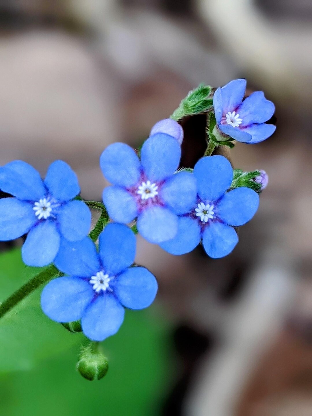 yugohのページ | YAMAP / ヤマップ