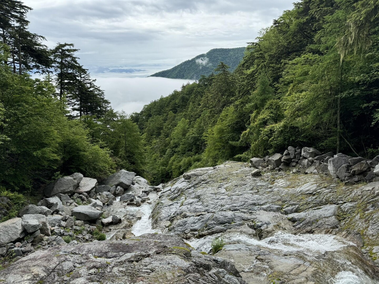 地蔵岳（鳳凰山）・赤抜沢ノ頭・観音岳（鳳凰山）・薬師岳（鳳凰山） / Naotoさんの鳳凰山・地蔵岳・観音岳・薬師岳の活動データ | YAMAP / ヤマップ
