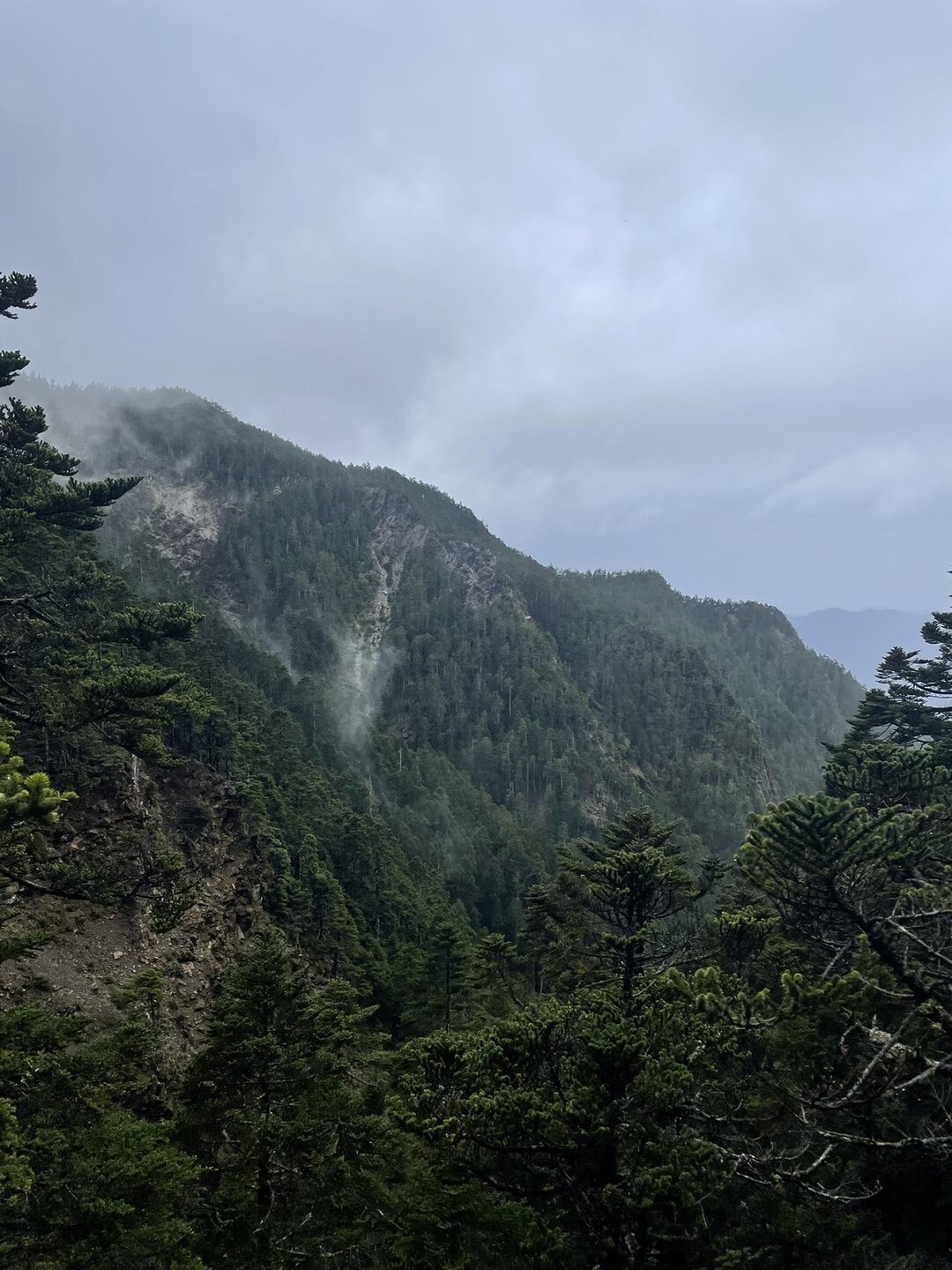 Yushan / nanamiさんの玉山の活動データ | YAMAP / ヤマップ