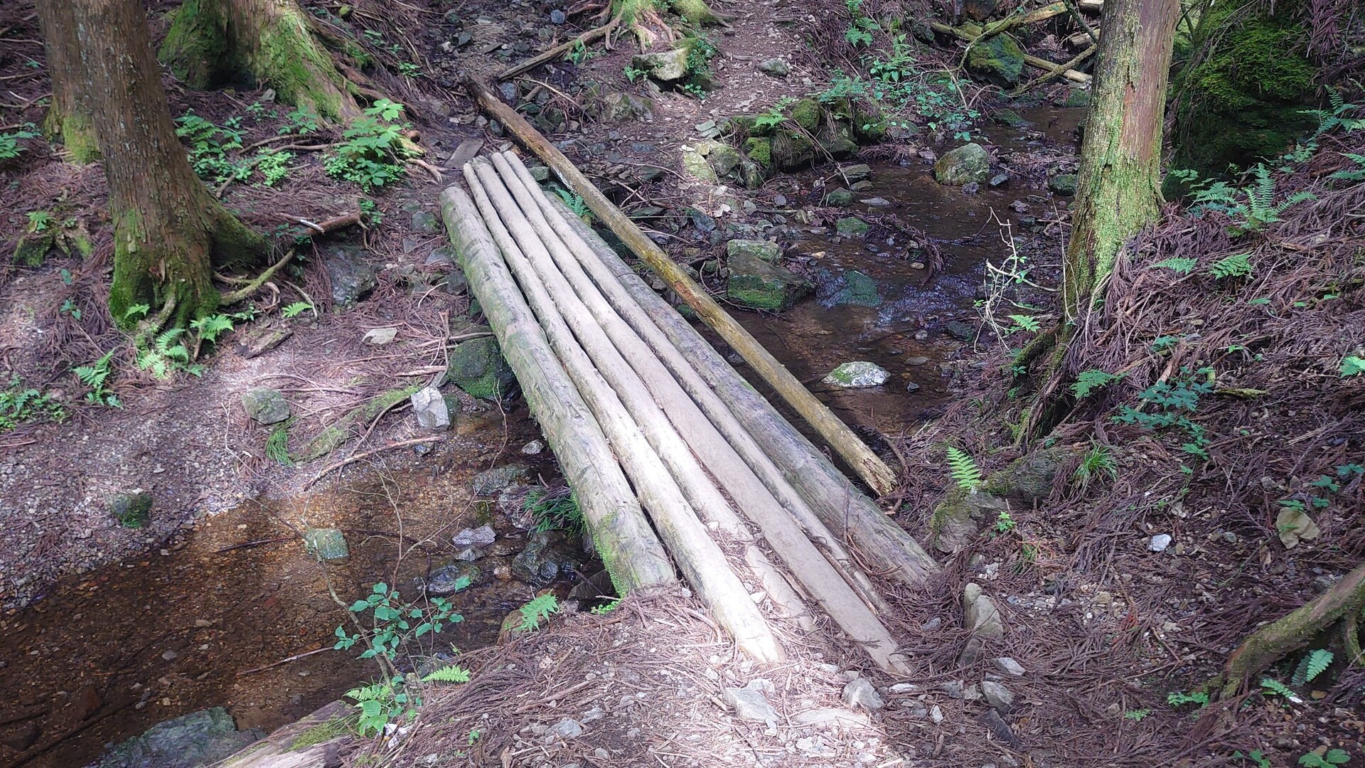 TKYMさんの投稿したフィールドメモ | YAMAP / ヤマップ