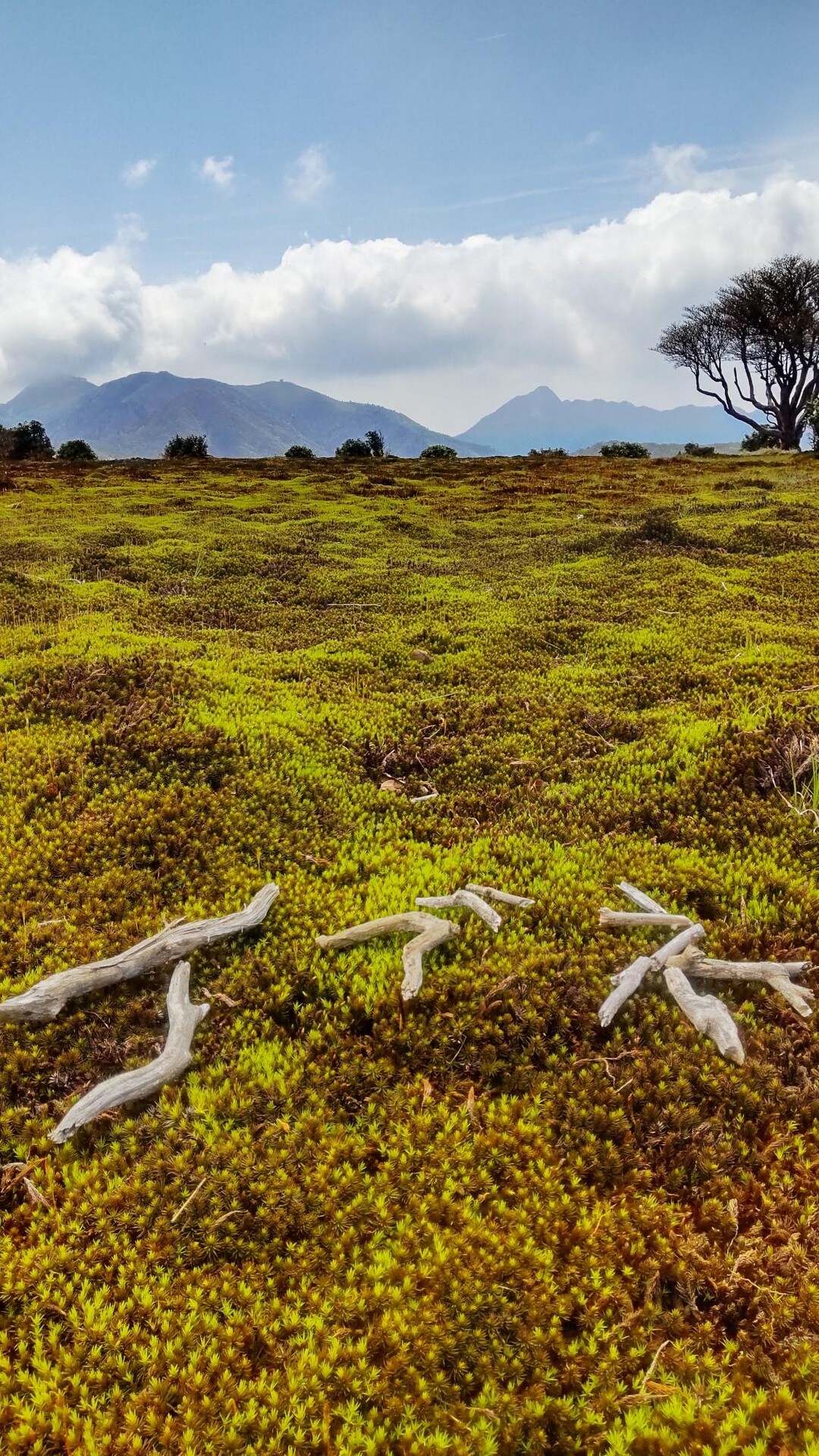 晴れたイブネを見に行こう / OKBさんの釈迦ヶ岳の活動データ | YAMAP / ヤマップ