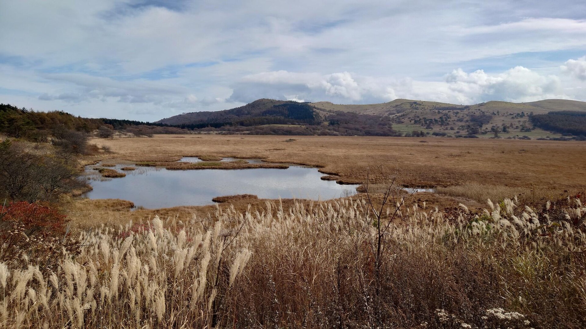 蝶々深山・霧ヶ峰（車山） / mriさんの霧ヶ峰・車山・大笹峰の活動データ | YAMAP / ヤマップ