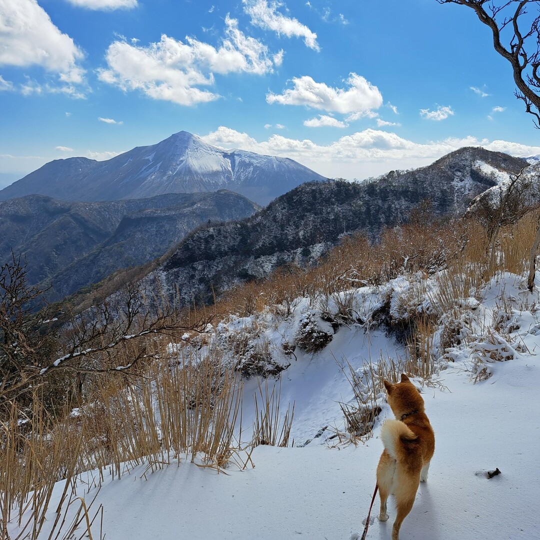 今日はふかふか雪の大幡山‥ 楽しかった！... / 花さんのモーメント | YAMAP / ヤマップ