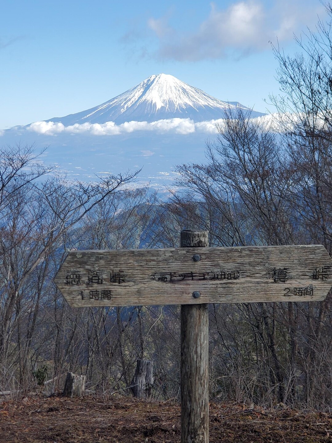 高ドッキョウ / nabe(^o^)vさんの貫ヶ岳・高ドッキョウの活動データ | YAMAP / ヤマップ