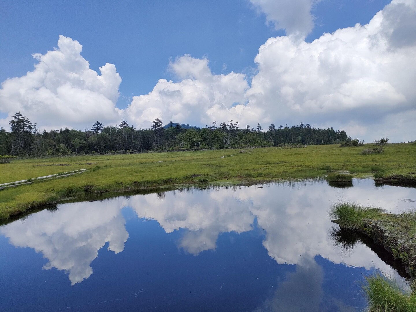 ☀/⚡☔天空の湿原〃KINUNUMA〃納涼さんぽ🚶 / KENさんぽ🧑‍🤝‍🧑さんの鬼怒沼山・物見山・黒岩山の活動データ | YAMAP / ヤマップ