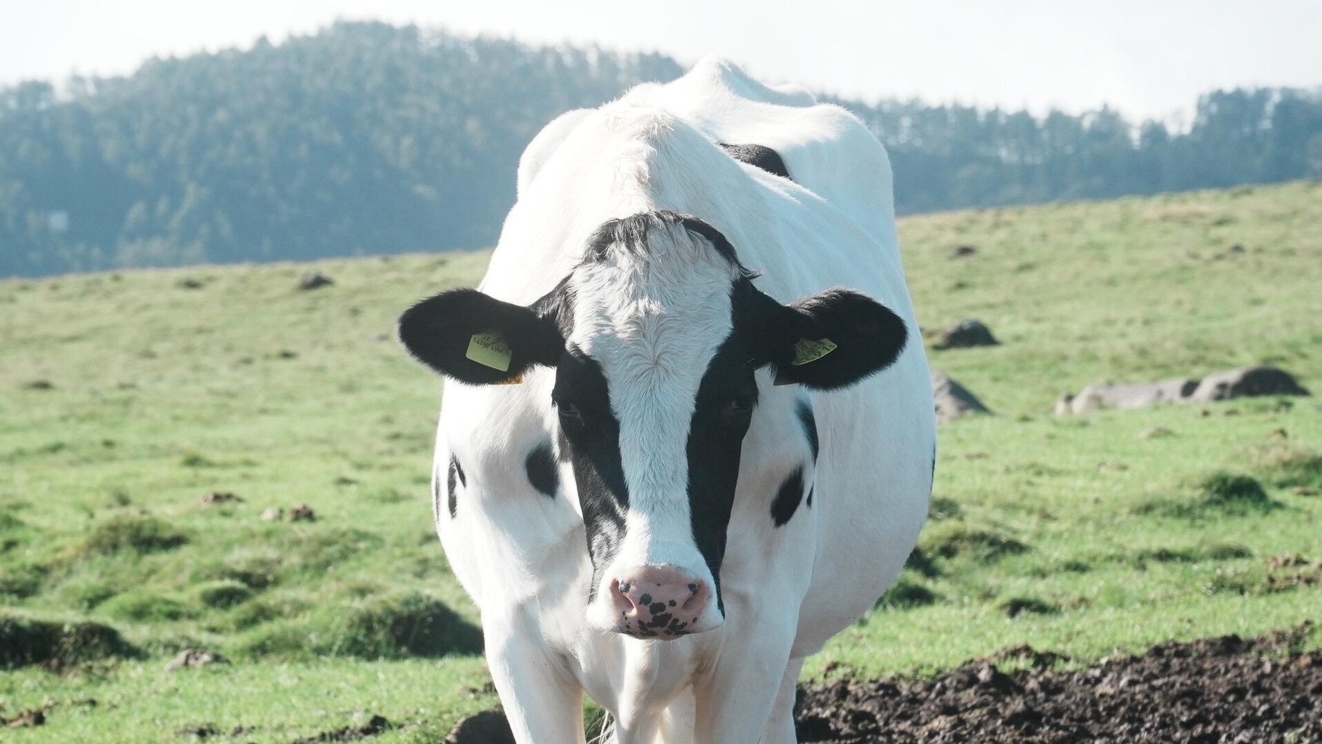 美ヶ原 / TKGさんの美ヶ原の活動日記 | YAMAP / ヤマップ