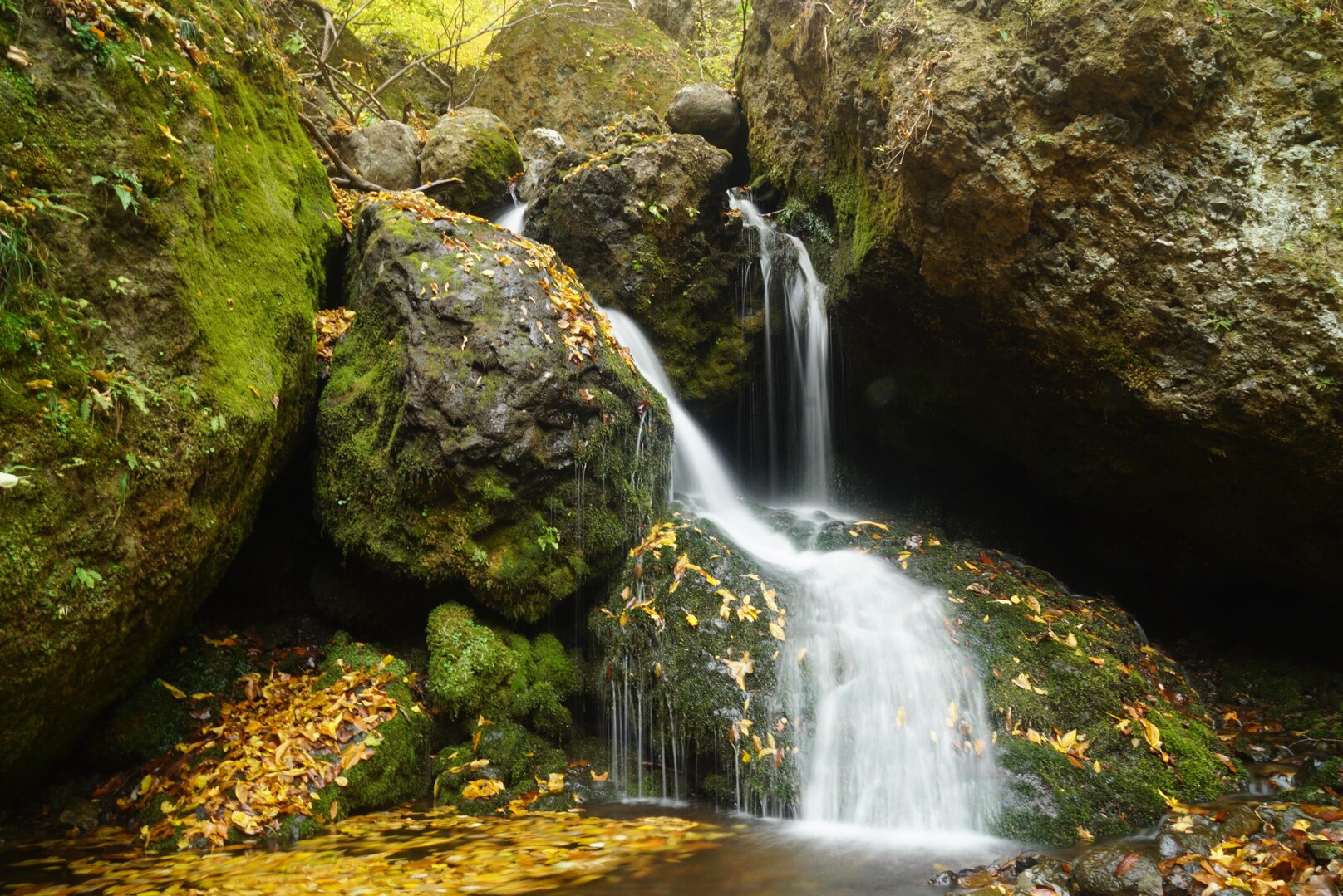 秋保の主峰 大東岳さ登る / mss53さんの面白山・神室岳・大東岳・雨呼山の活動データ | YAMAP / ヤマップ