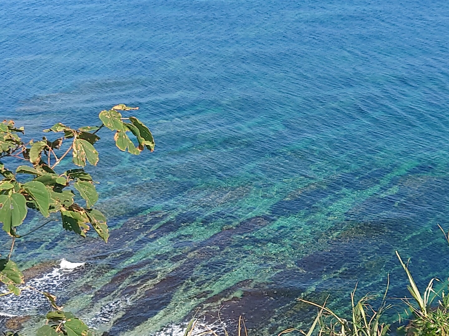 能登半島漫遊記(4)～見附島、珠洲、禄剛崎灯台経由輪島行各(道の)駅停車 / ANCさんの能登半島北部の活動日記 | YAMAP / ヤマップ