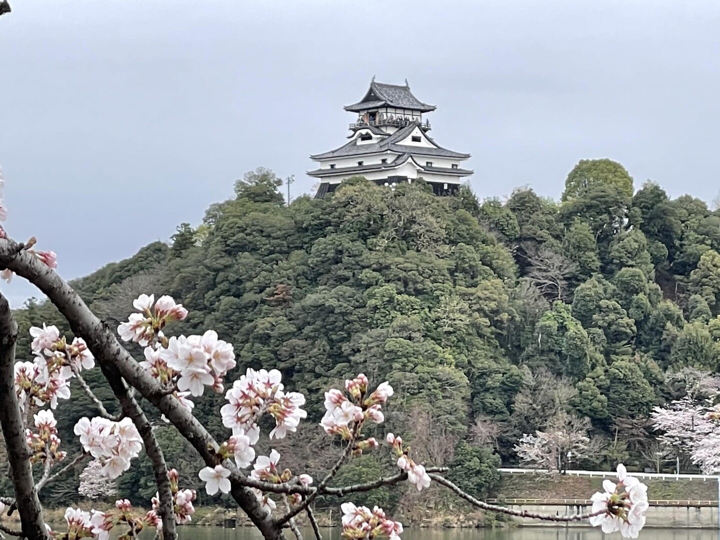 雨ですね☂️犬山城散策🏯善光寺山・白山平・伊木山 / mocaさんの鳩吹山の活動データ | YAMAP / ヤマップ
