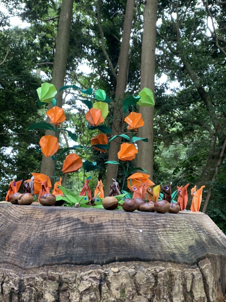 久しぶりの高尾山 2021-09-14 / Atto-Rieさんの高尾山・陣馬山・景信山の活動データ | YAMAP / ヤマップ