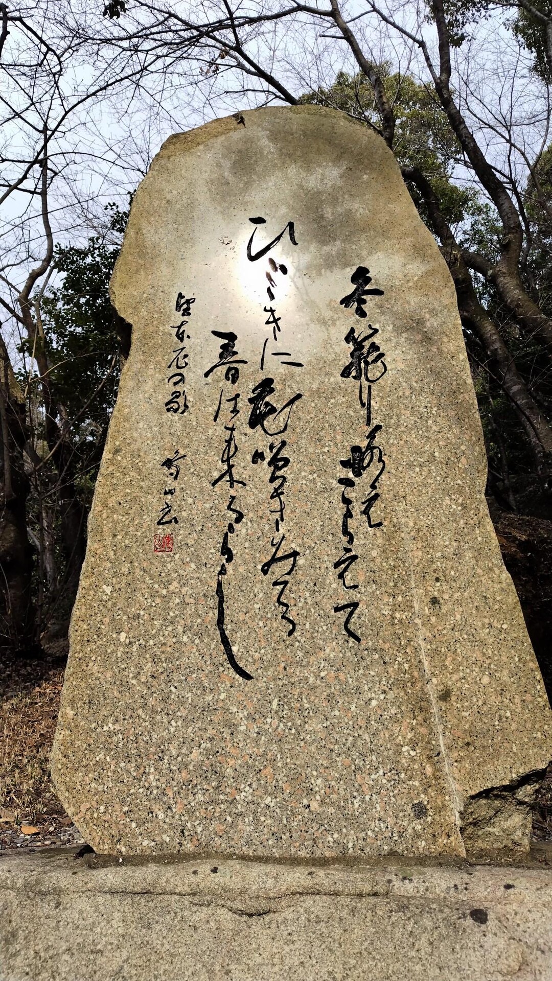 桑山 / とんくんPPさんの田島山の活動データ | YAMAP / ヤマップ