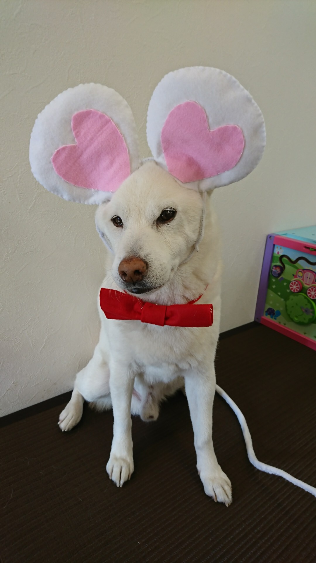 AKI | YAMAP / ヤマップ