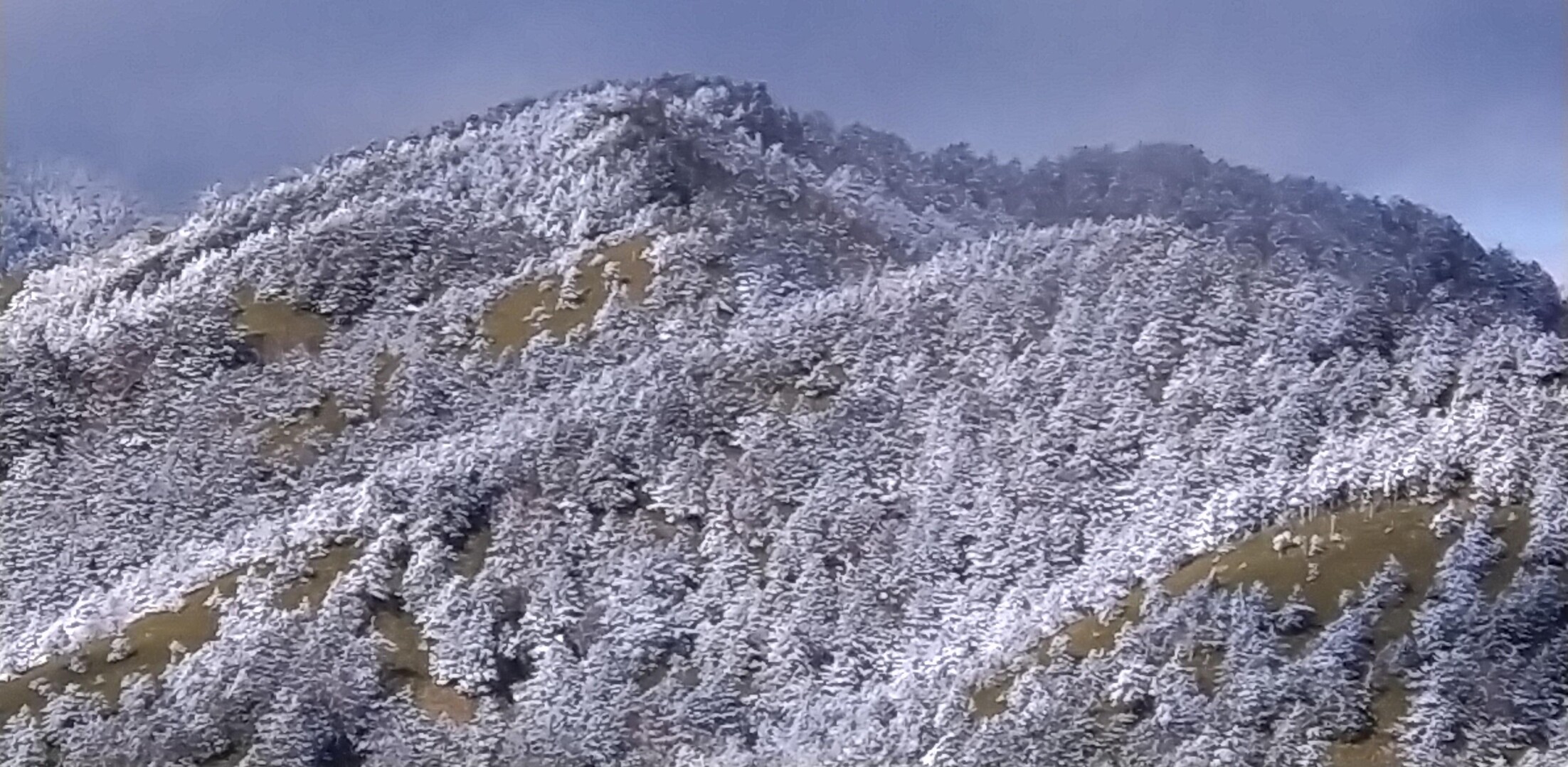 X'mas in 大川入山🎄🐑 / やまとさんの大川入山・横岳の活動日記 | YAMAP / ヤマップ