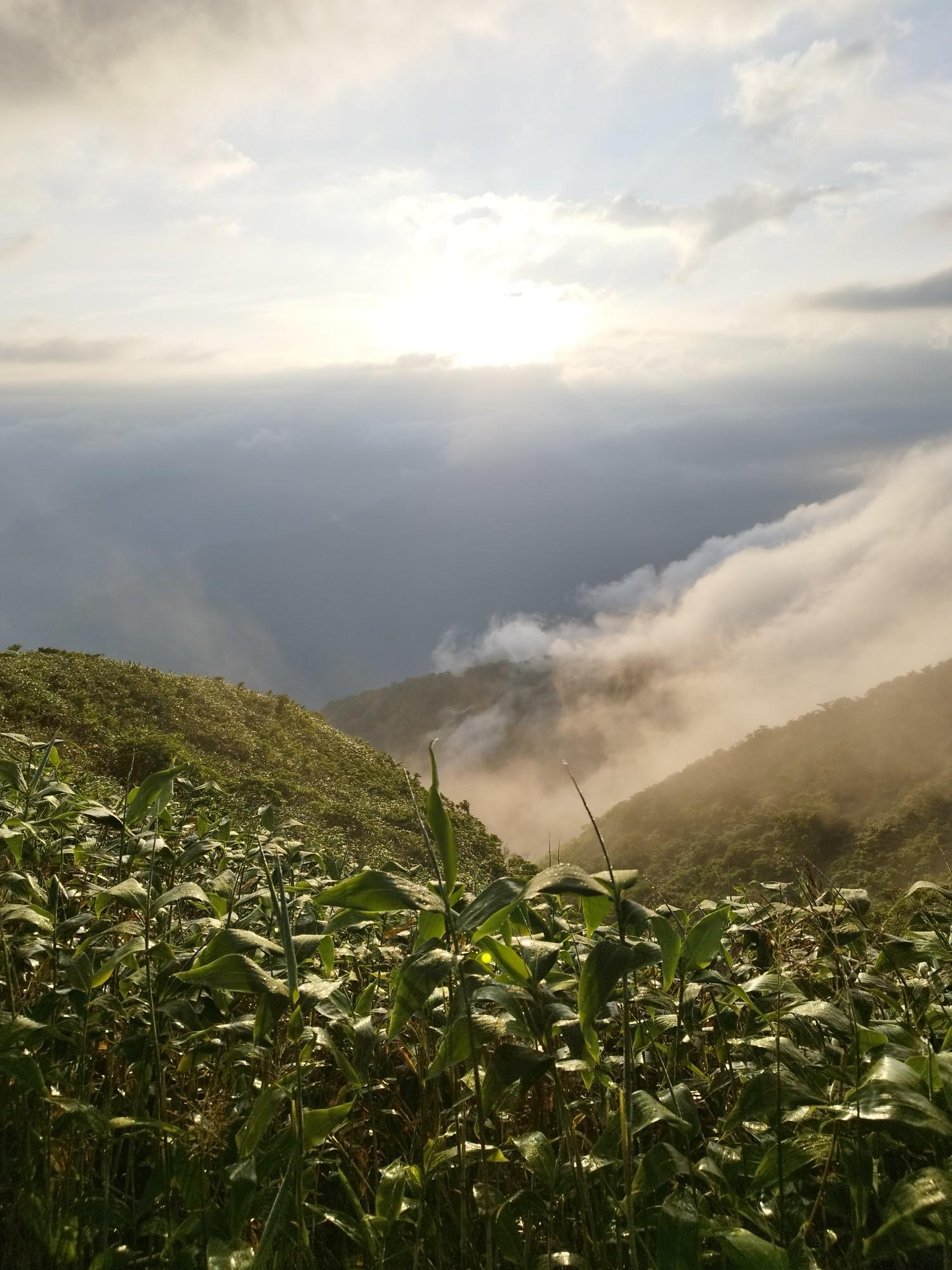 荒島岳 / horitakaさんの荒島岳の活動データ | YAMAP / ヤマップ