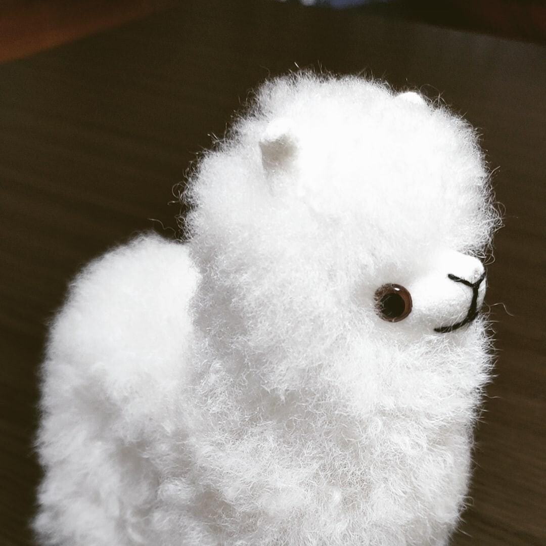 りーるーのページ | YAMAP / ヤマップ