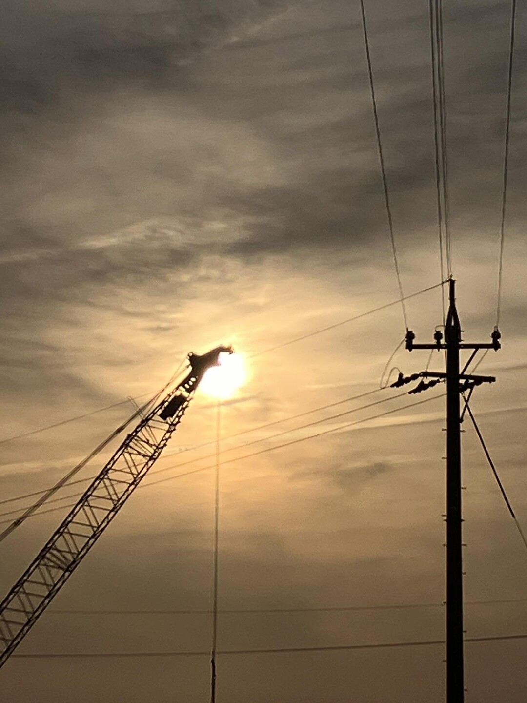 有酸素運動🏃🏿‍♂️ / NBOX3180さんのウォーキングの活動データ | YAMAP / ヤマップ