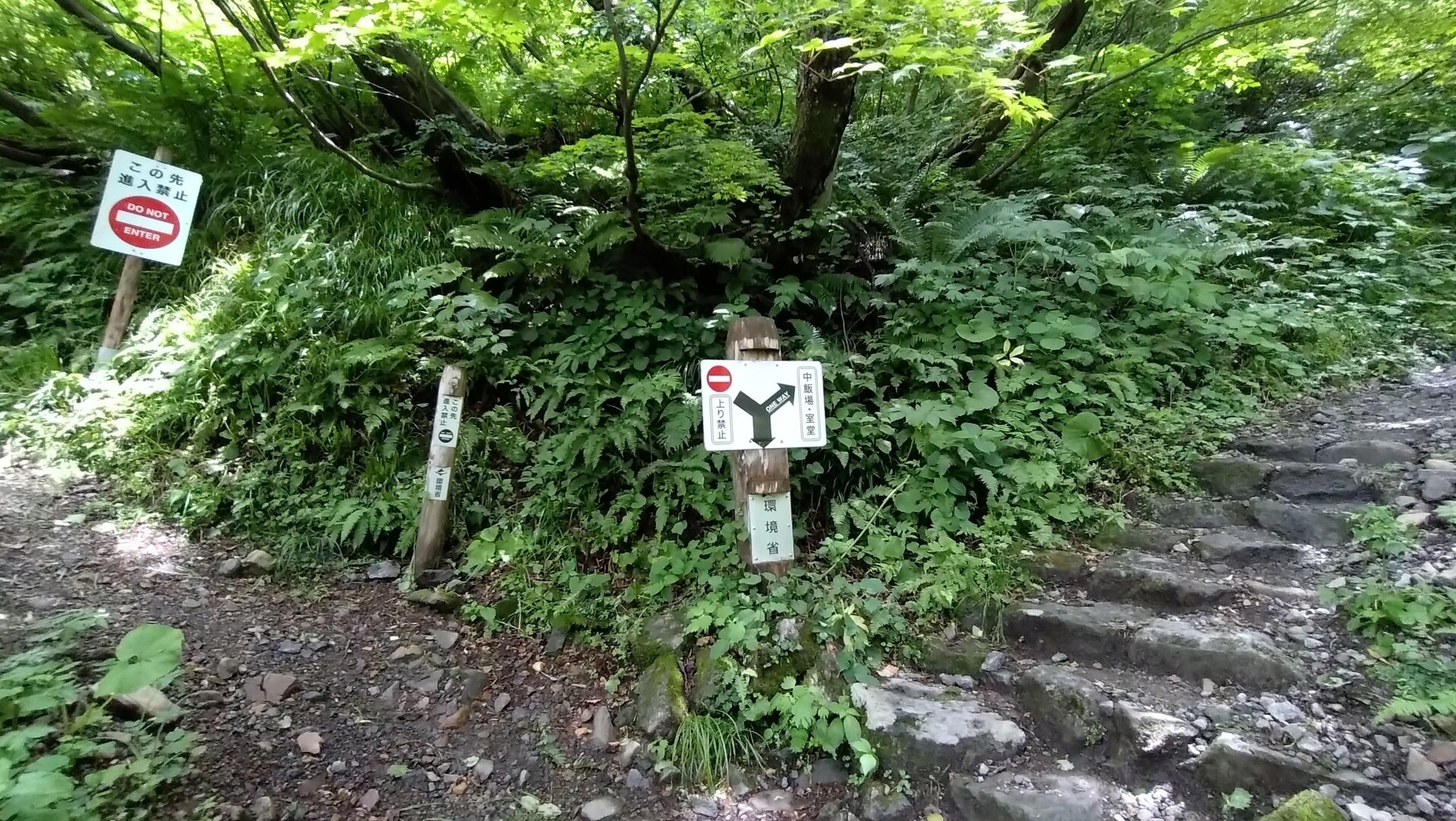 bambooさんの投稿したフィールドメモ | YAMAP / ヤマップ