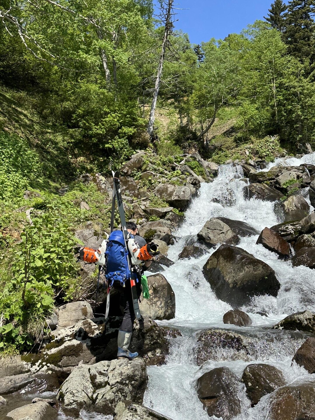 沢登りに来たの 😅高根ヶ原BC⛷️2024-06-15 / kashiさんの大雪山系・旭岳・トムラウシの活動データ | YAMAP / ヤマップ