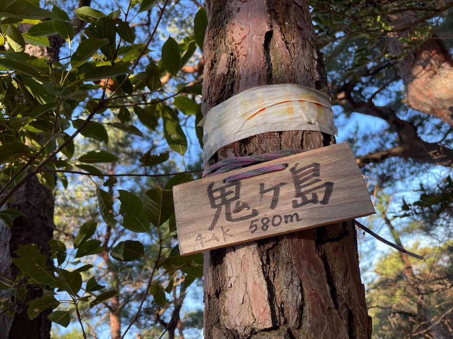 E.Jさんの投稿したフィールドメモ | YAMAP / ヤマップ