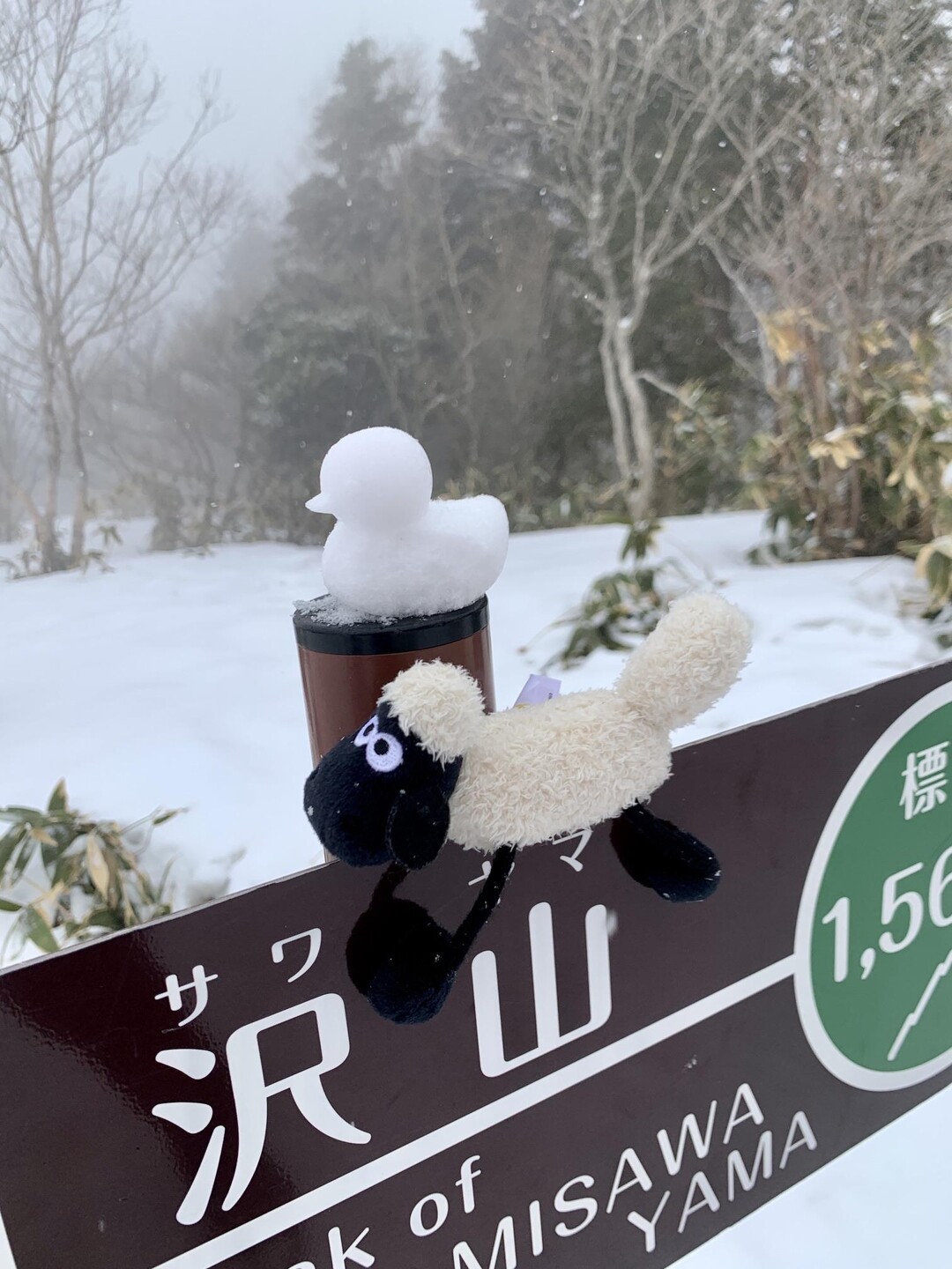 晴れるって言ってたや〜ん！ @南沢山 R5 #7 / 🐑るんな꒰ᵕ⑅̆ᵕ꒱さんの恵那山・大判山・神坂山の活動データ | YAMAP / ヤマップ