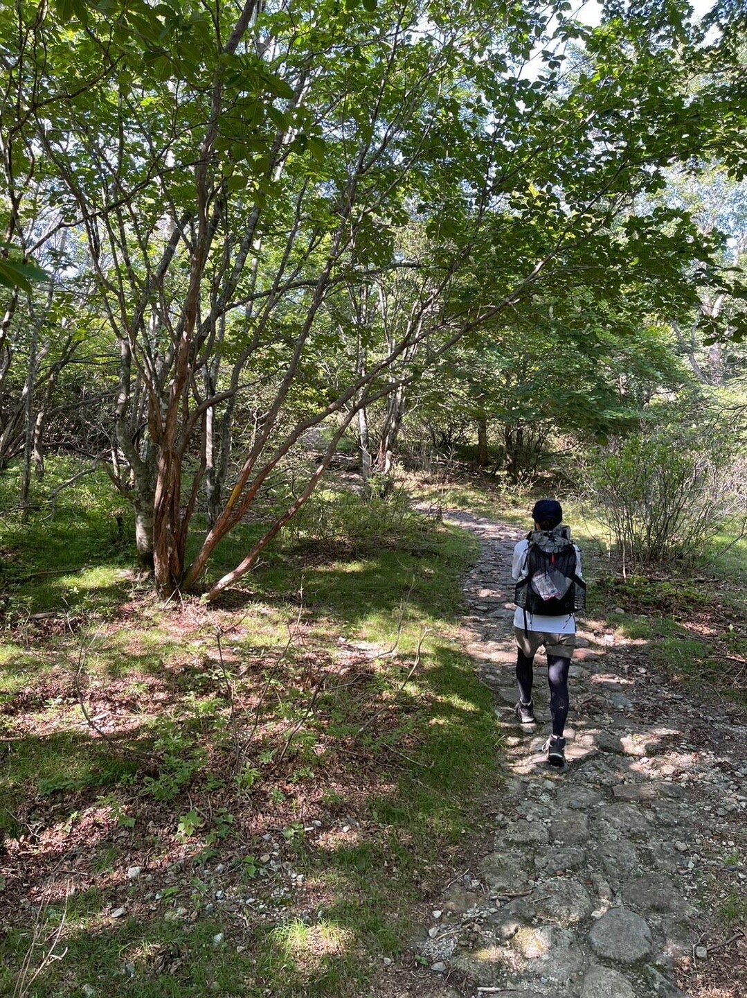 意外にハードかも🙌剣ヶ峰・釈迦ヶ岳(高原山) / NAMIさんの高原山・釈迦ヶ岳・鶏頂山の活動データ | YAMAP / ヤマップ