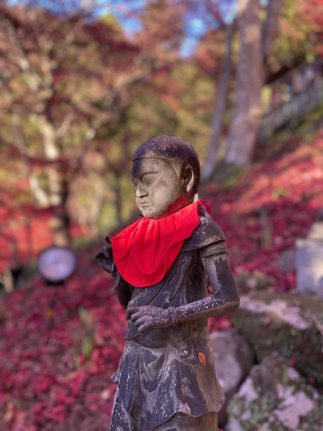 大山 / chi_sanさんの大山の活動データ | YAMAP / ヤマップ