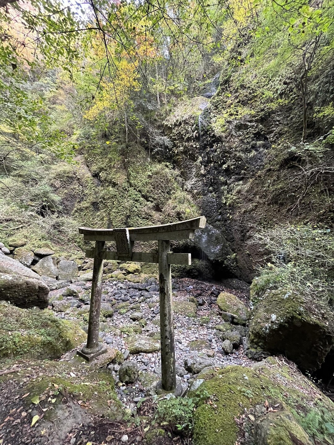 篭岩(篭岩山) / hanさんの奥久慈男体山・月居山・篭岩（篭岩山）の活動データ | YAMAP / ヤマップ