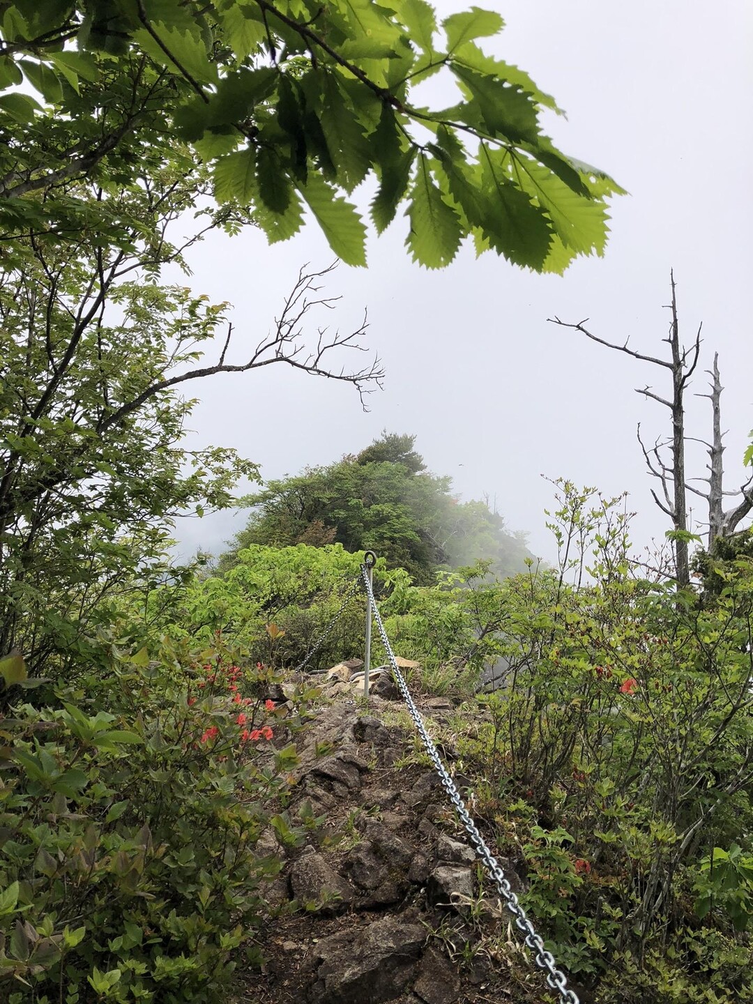 立岩・荒船山（経塚山） / まさtabさんの荒船山・物語山・大屋山の活動データ | YAMAP / ヤマップ