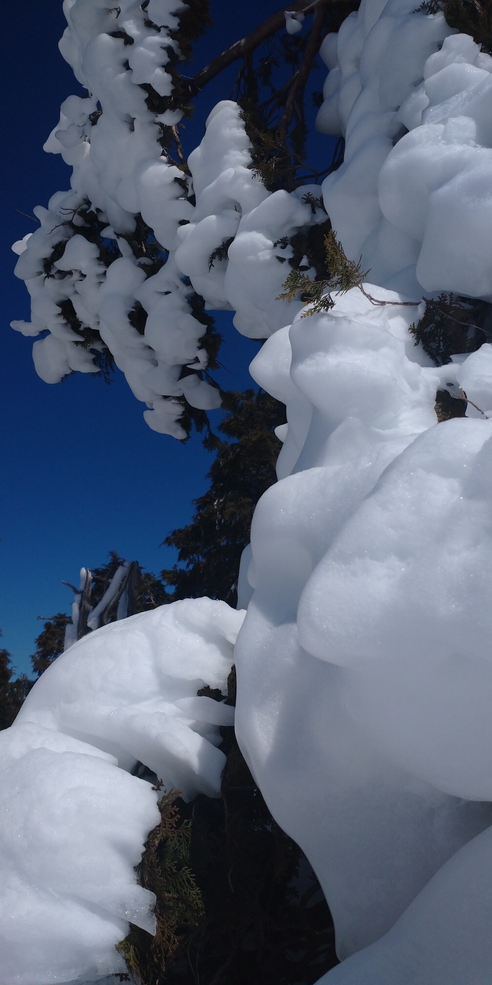 ふりかえってみれば 北は網走から南はくじ... / おみみさんのモーメント | YAMAP / ヤマップ