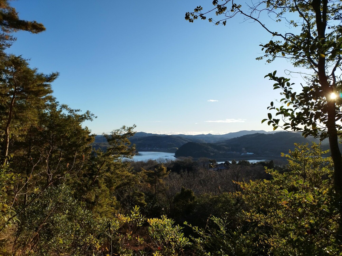 R6.1 御見舞い申し上げます。 / yukisukeponさんの尾張富士・尾張本宮山・尾張白山の活動データ | YAMAP / ヤマップ