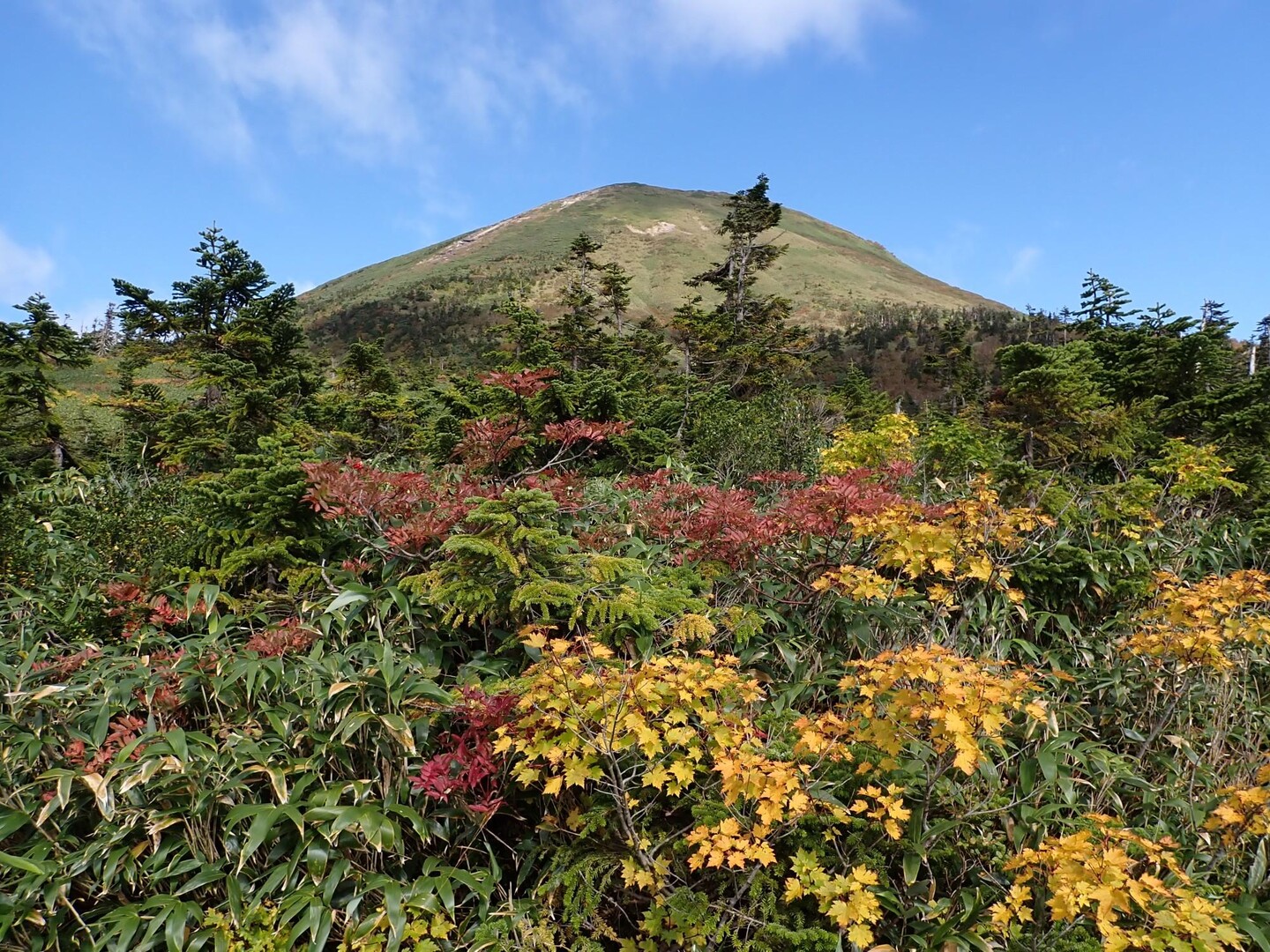 八甲田山(五座) / グッディ！さんの八甲田山・高田大岳・雛岳の活動データ | YAMAP / ヤマップ