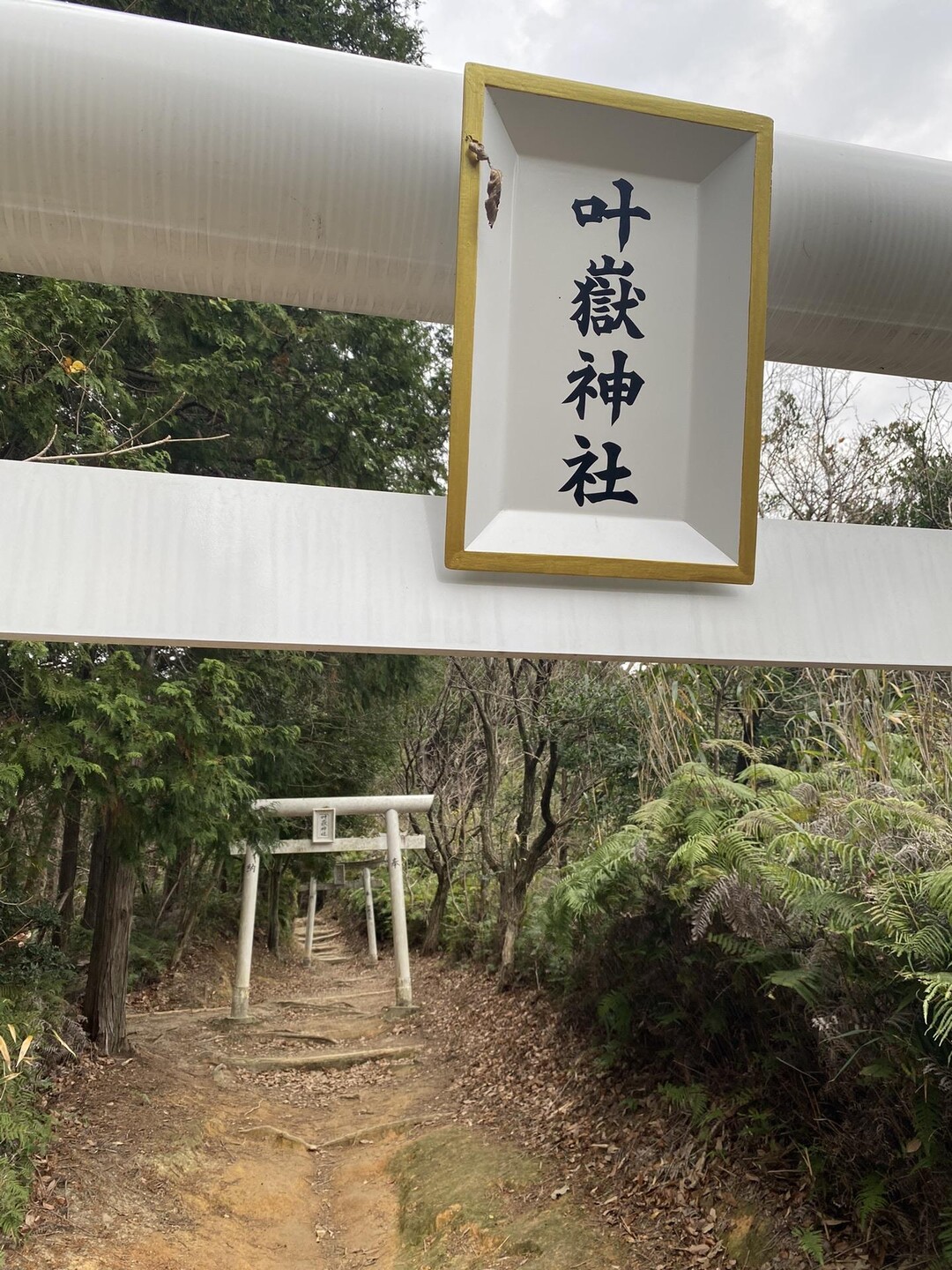 叶岳 初詣② / star-netさんの高祖山・飯盛山・叶岳の活動データ | YAMAP / ヤマップ