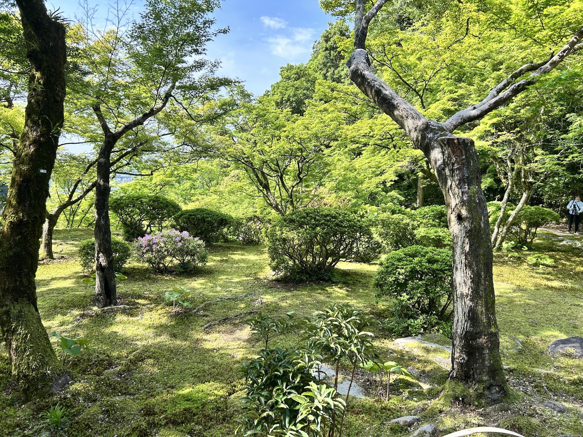 九年庵が 5/3から5/5まで期間限定公... / hiroさんのモーメント | YAMAP / ヤマップ