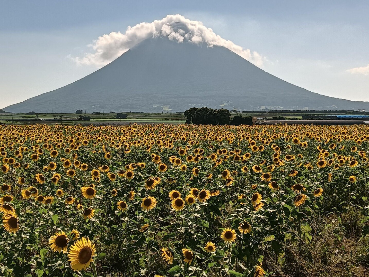 開聞岳 / HGさんの開聞岳の活動データ | YAMAP / ヤマップ