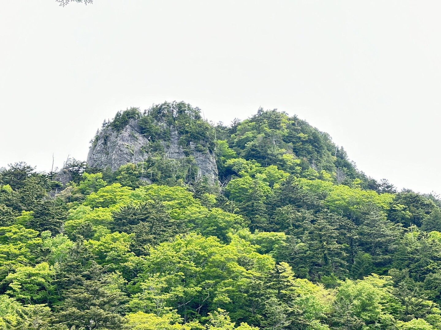 Hello! Joe World‼️絶望の壁アルパイン🧗 / digi sanさんの八経ヶ岳の活動データ | YAMAP / ヤマップ