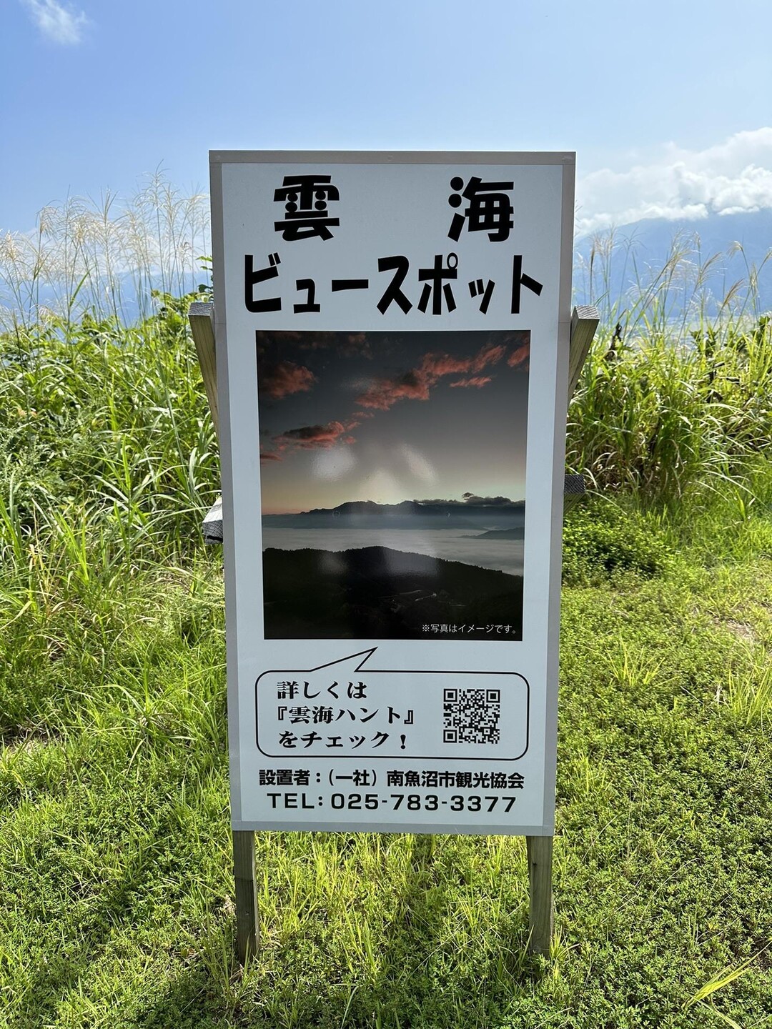 八箇峠から桝形山 / maiさんの坂戸山の活動データ | YAMAP / ヤマップ