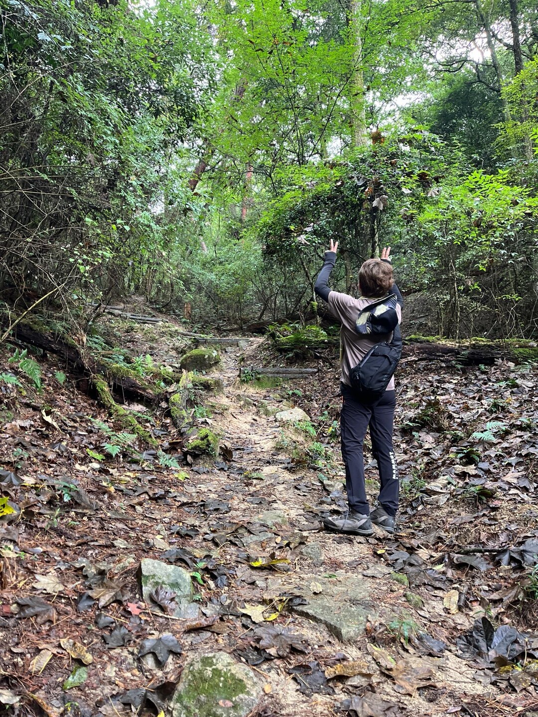 ウォーキング 久々の熊山 / kiyoさんのウォーキングの活動データ | YAMAP / ヤマップ