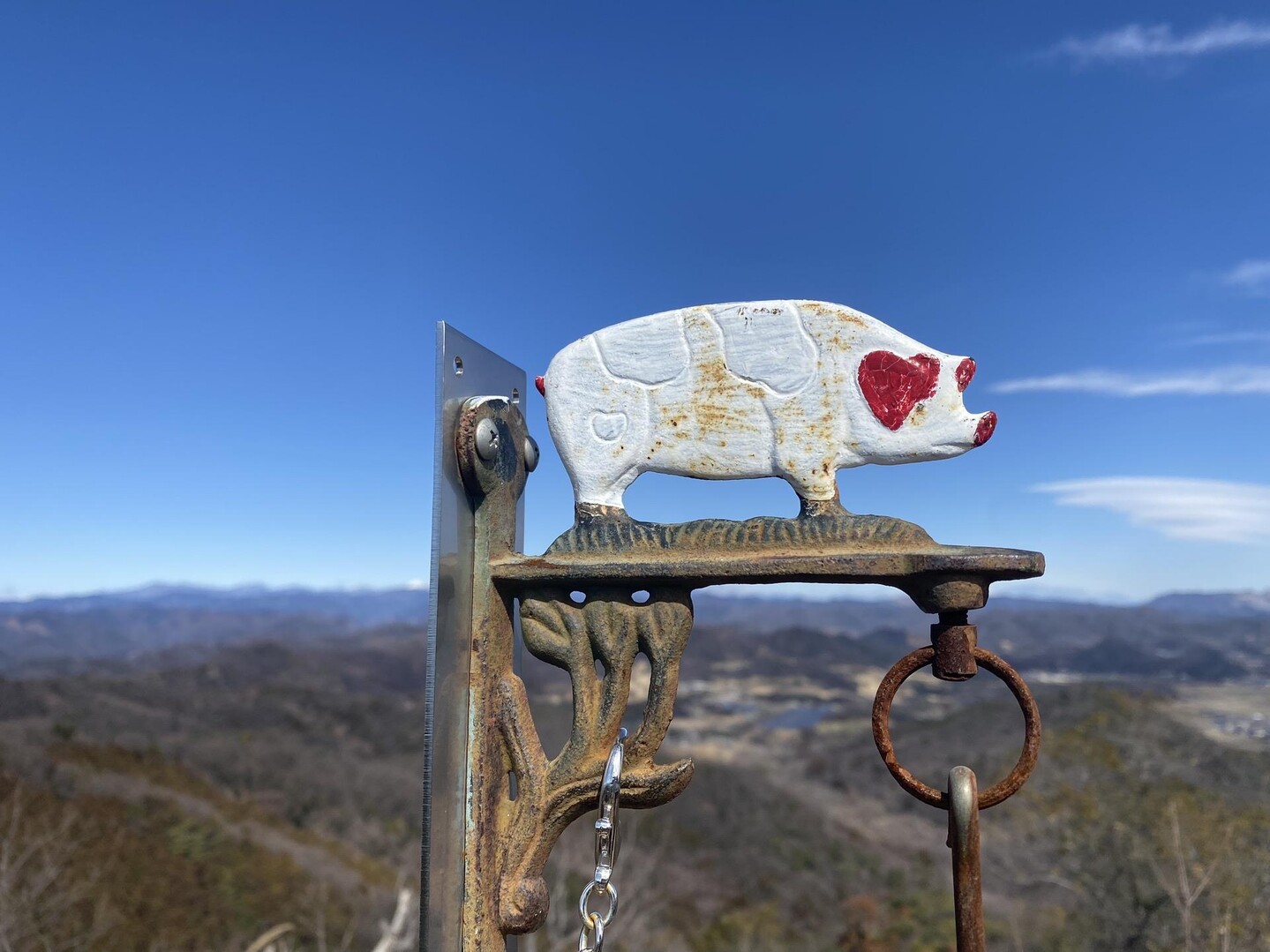 空前絶後の超絶怒涛の栃木の低山 / DA14さんの大小山（妙義山）・西場富士の活動データ | YAMAP / ヤマップ