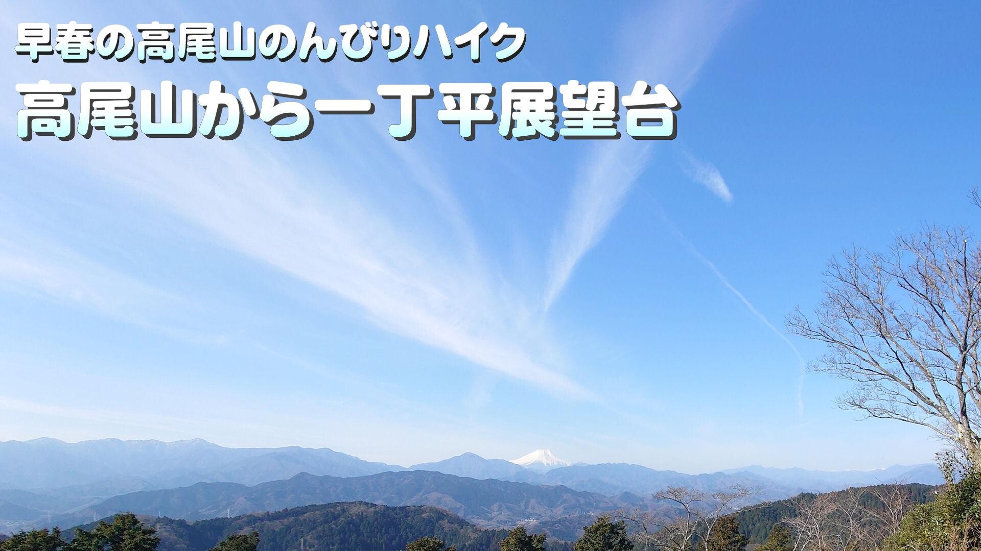 Youtube:[https://you... / StrayCatさんのモーメント | YAMAP / ヤマップ