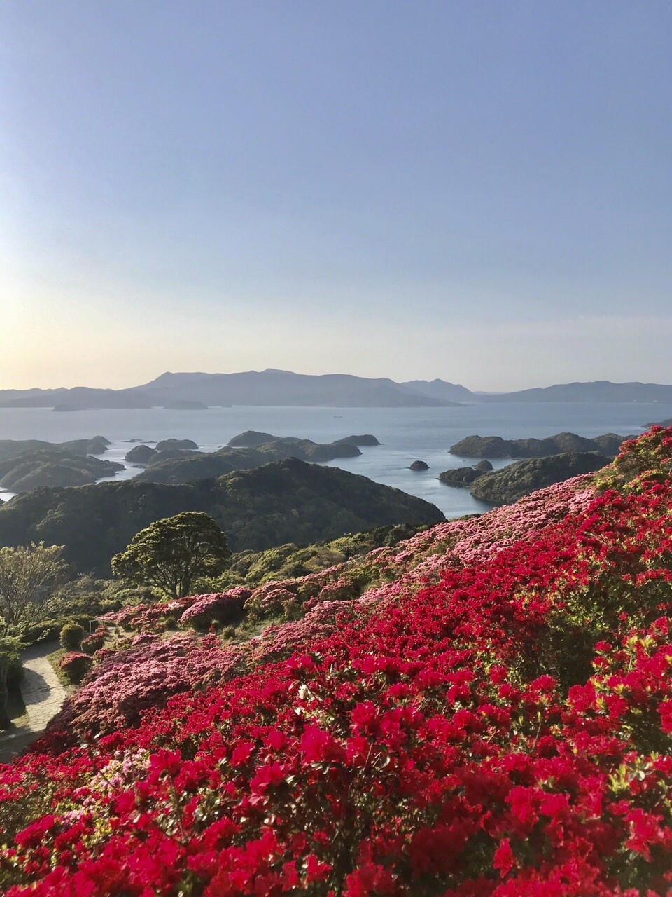 カレイドスコープ〜長串山〜 / mayumiさんのウォーキングの活動データ | YAMAP / ヤマップ