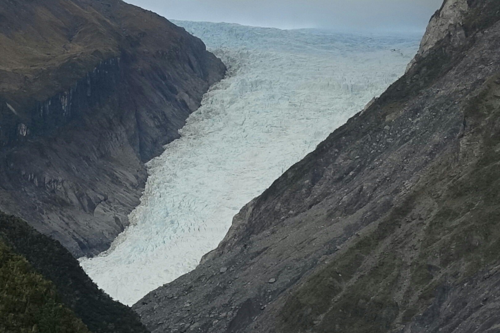 Fox Glacier Viewpoint, Westland Tai Poutini National Park, NZ / Ryoさんの ...