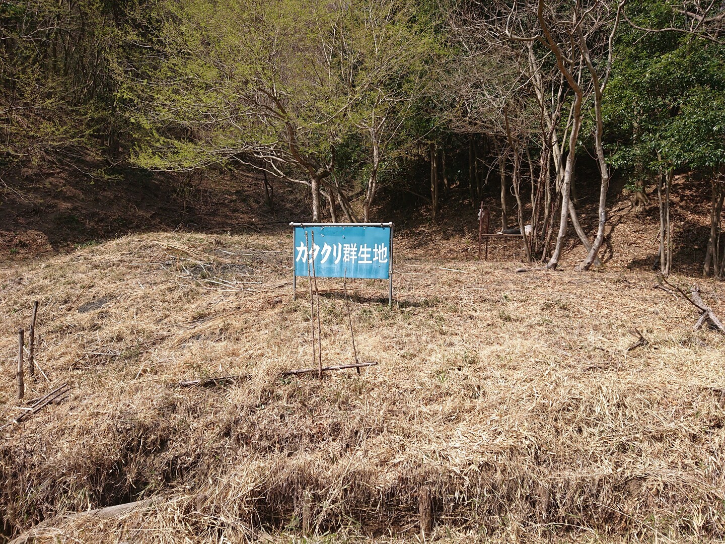 kawaさんの投稿したフィールドメモ | YAMAP / ヤマップ