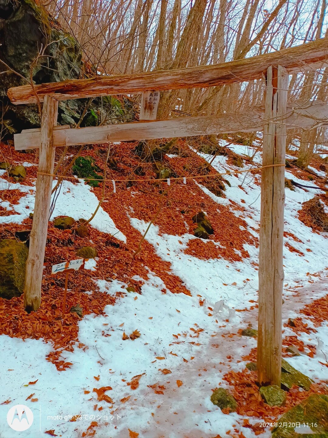 東部湯の丸SAから黒斑山を目指して 雪に負けて撤退 / man forestさんの浅間山・黒斑山・篭ノ登山の活動データ | YAMAP / ヤマップ