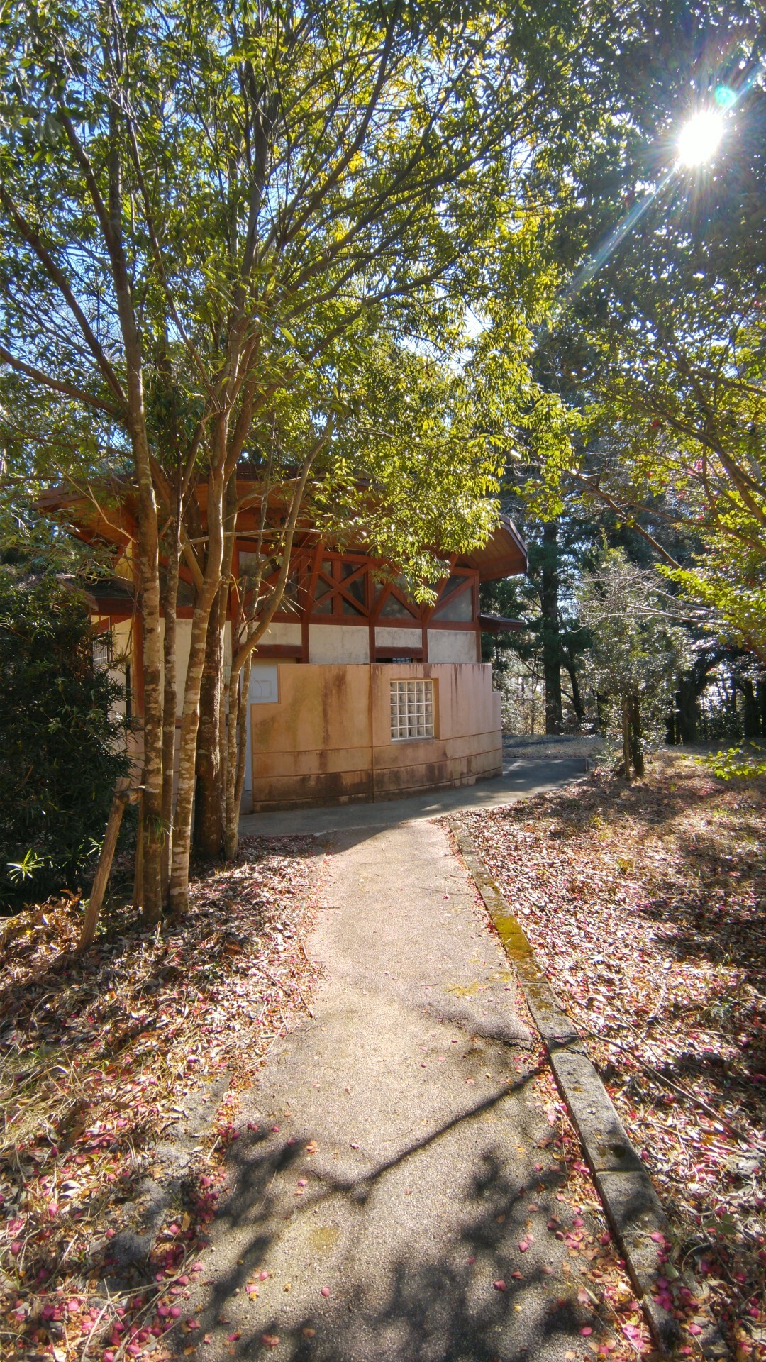 なぁなさんの投稿したフィールドメモ | YAMAP / ヤマップ