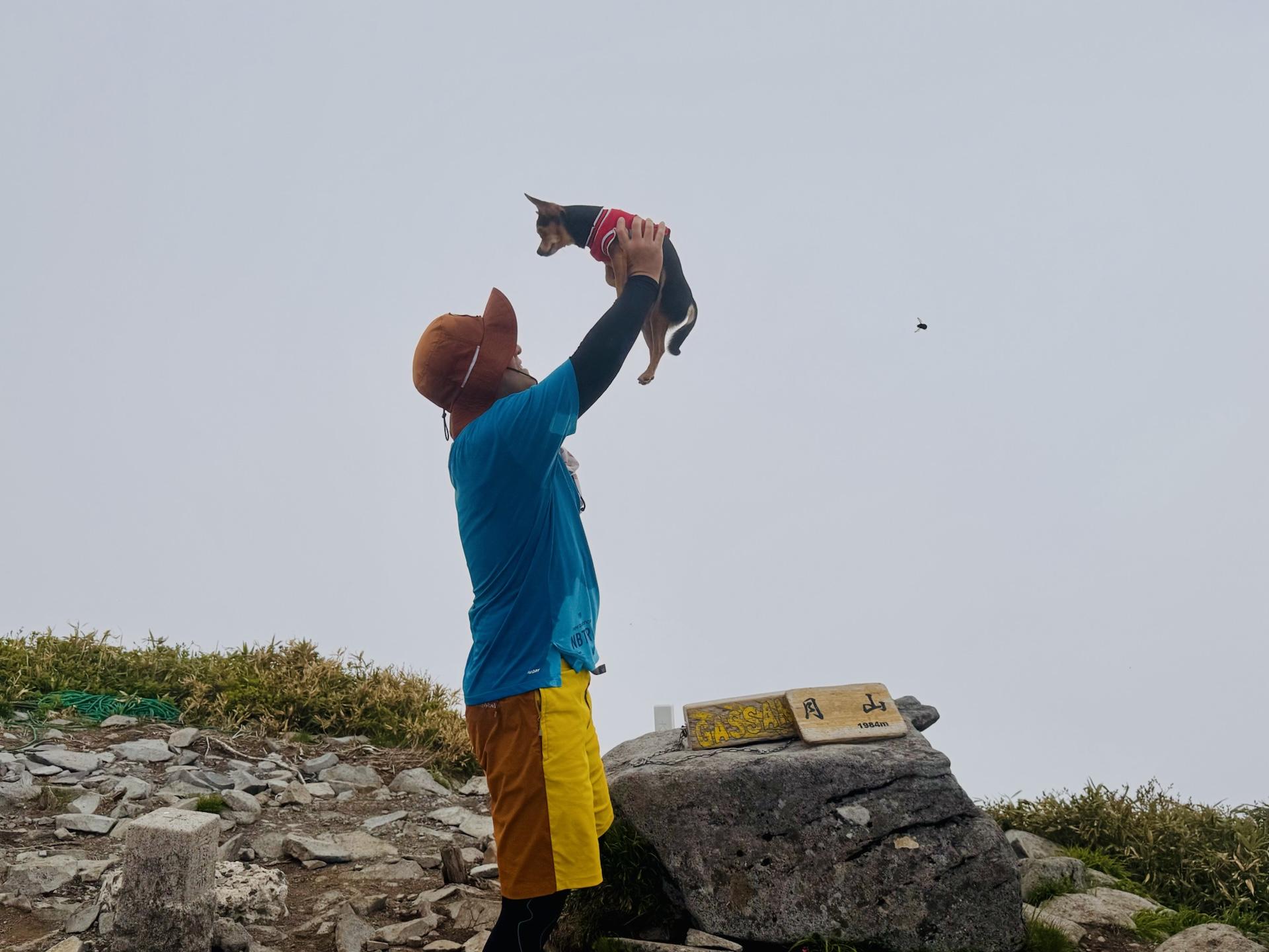 Dog King(ライオンキングのあの🤣)風🐕‍🦺残雪の姥ヶ岳・柴灯森・月山 / ネロさんの月山の活動データ | YAMAP / ヤマップ
