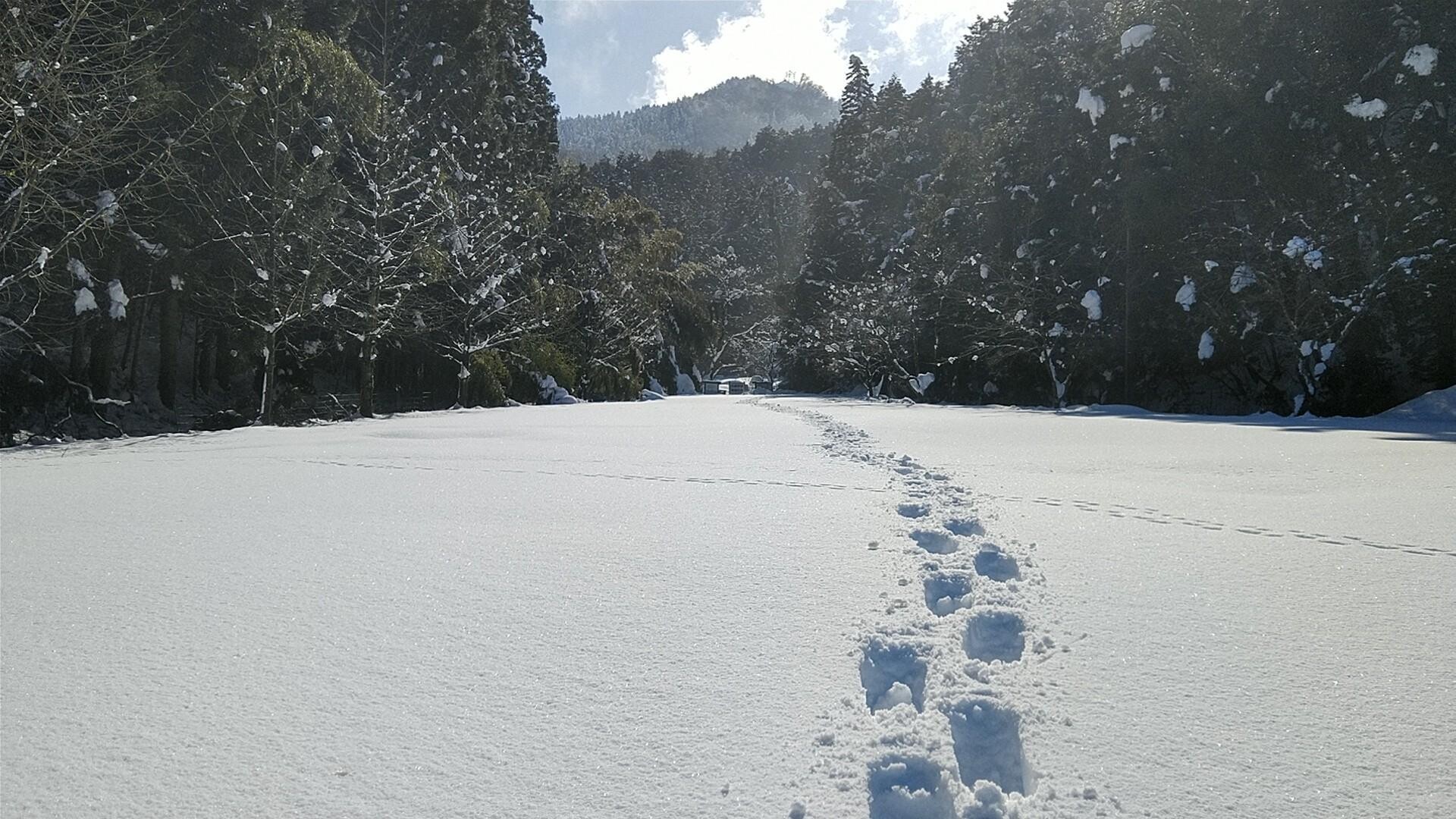 また冬が来る☺️ 画像は2021-1月の... / HIRO 2020さんのモーメント | YAMAP / ヤマップ