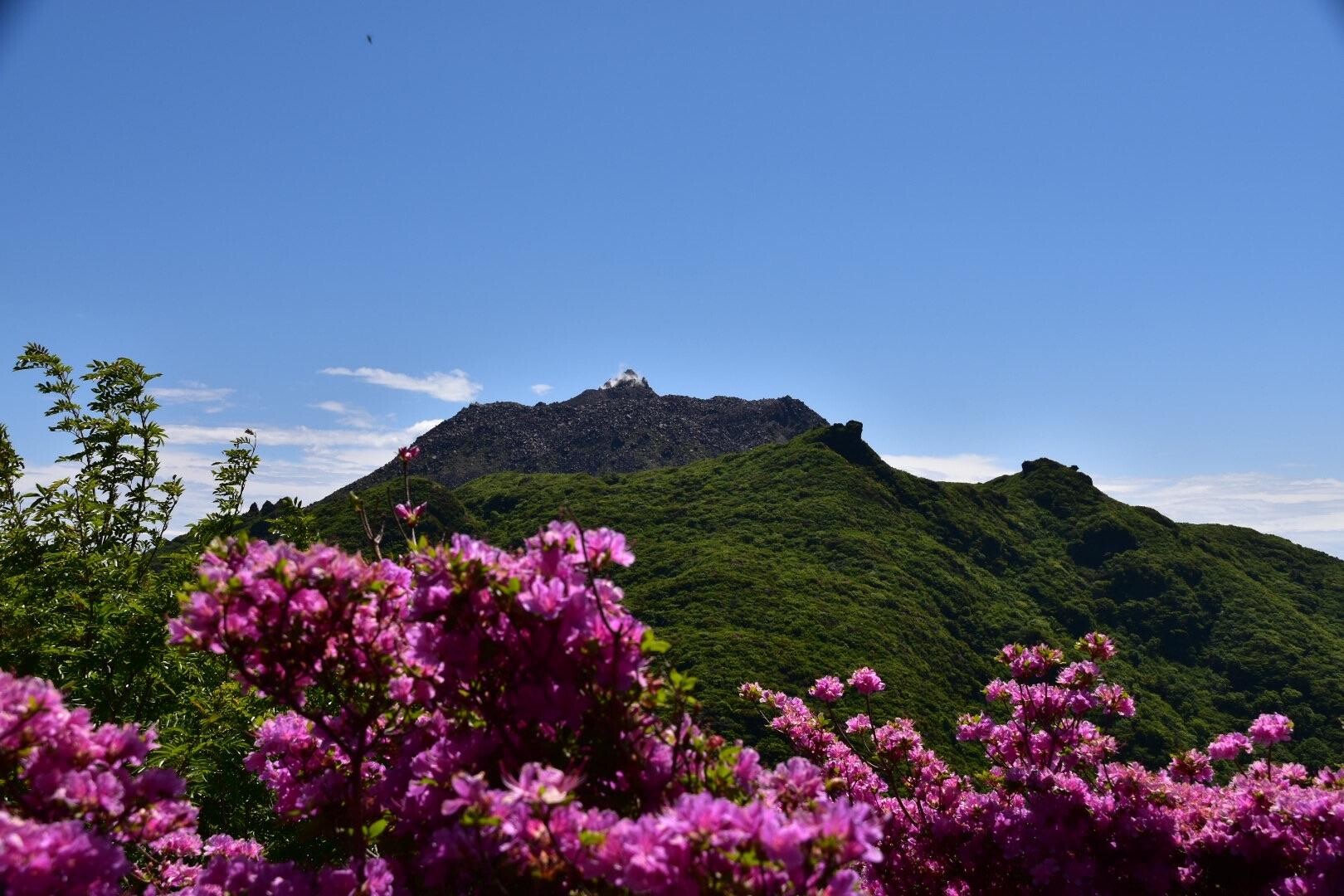 雲仙 国見岳のミヤマキリシマ / kawaさんの雲仙岳・普賢岳・絹笠山の活動データ | YAMAP / ヤマップ
